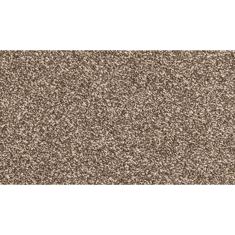 Mohawk Dynamic Quality II 865 Filigree Carpet — Stone & Tile Shoppe, Inc.