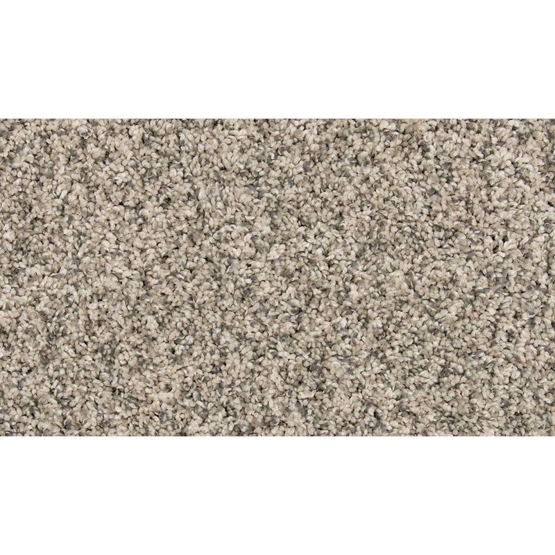 Mohawk Renovate II 02 Silver Dollar Carpet — Stone & Tile Shoppe, Inc.