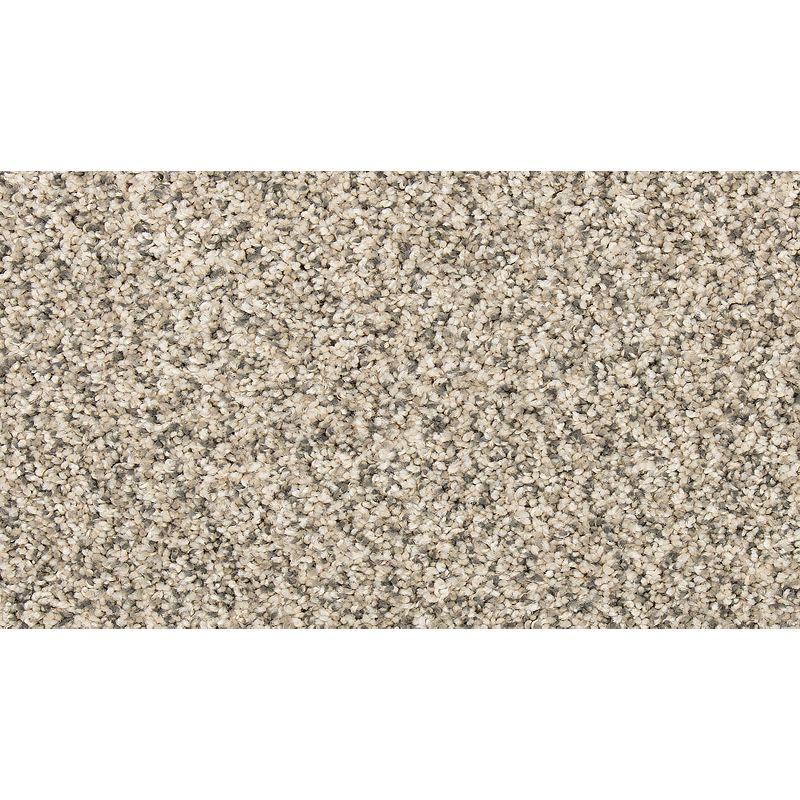 Mohawk Vitalize II 938 Silver Dollar Carpet — Stone & Tile Shoppe, Inc.