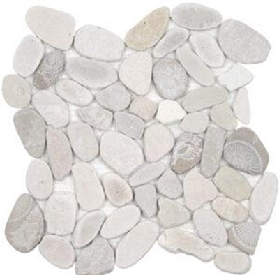 Tesoro Aquatica Ocean Stone Sliced Fossil Light Color Mosaic — Stone ...