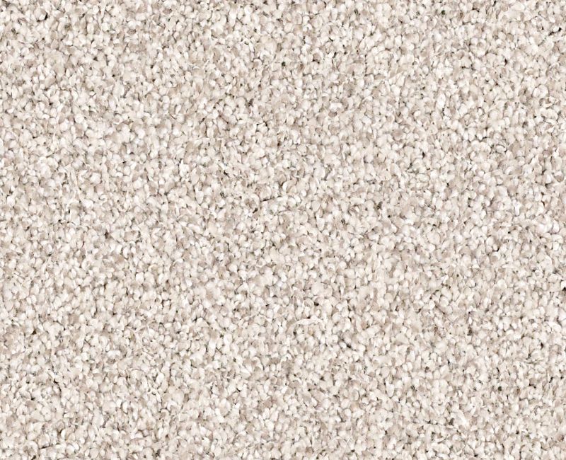 Shaw Exploration 00101 Parchment Carpet — Stone & Tile Shoppe, Inc.