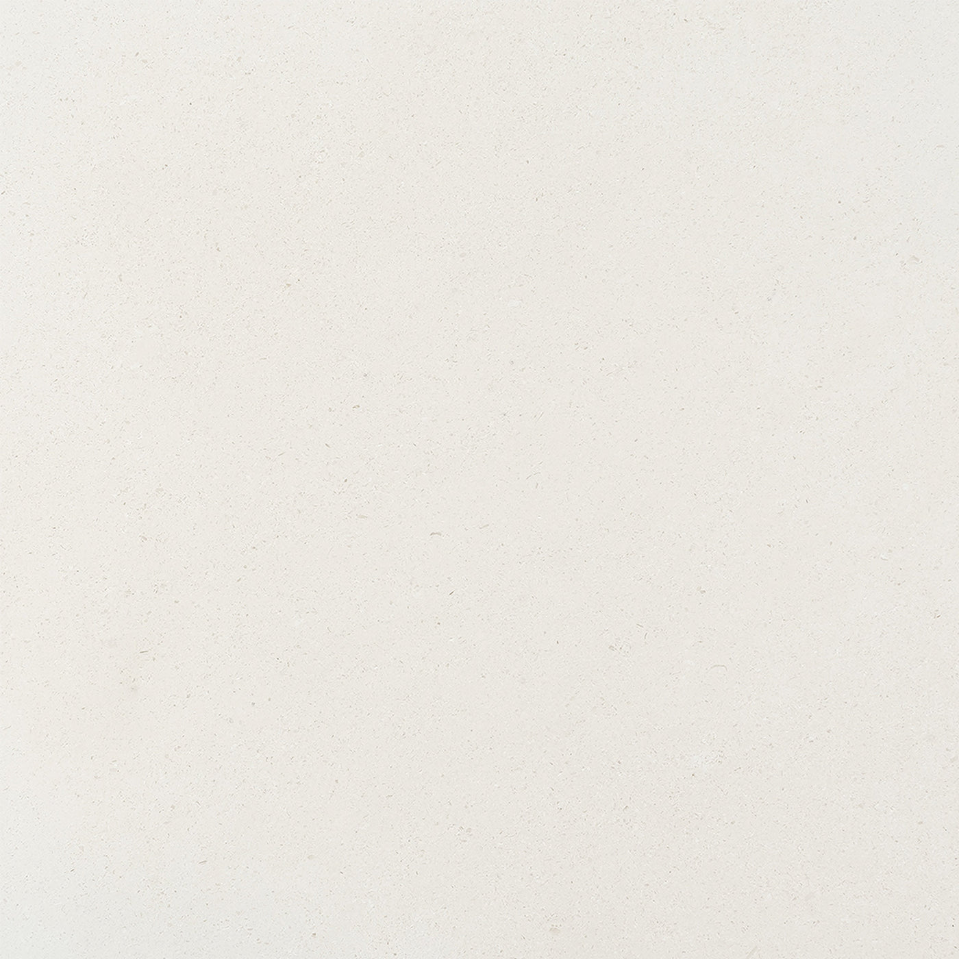 New Champagne Polished Limestone Tile | Lowest Price — Stone & Tile ...