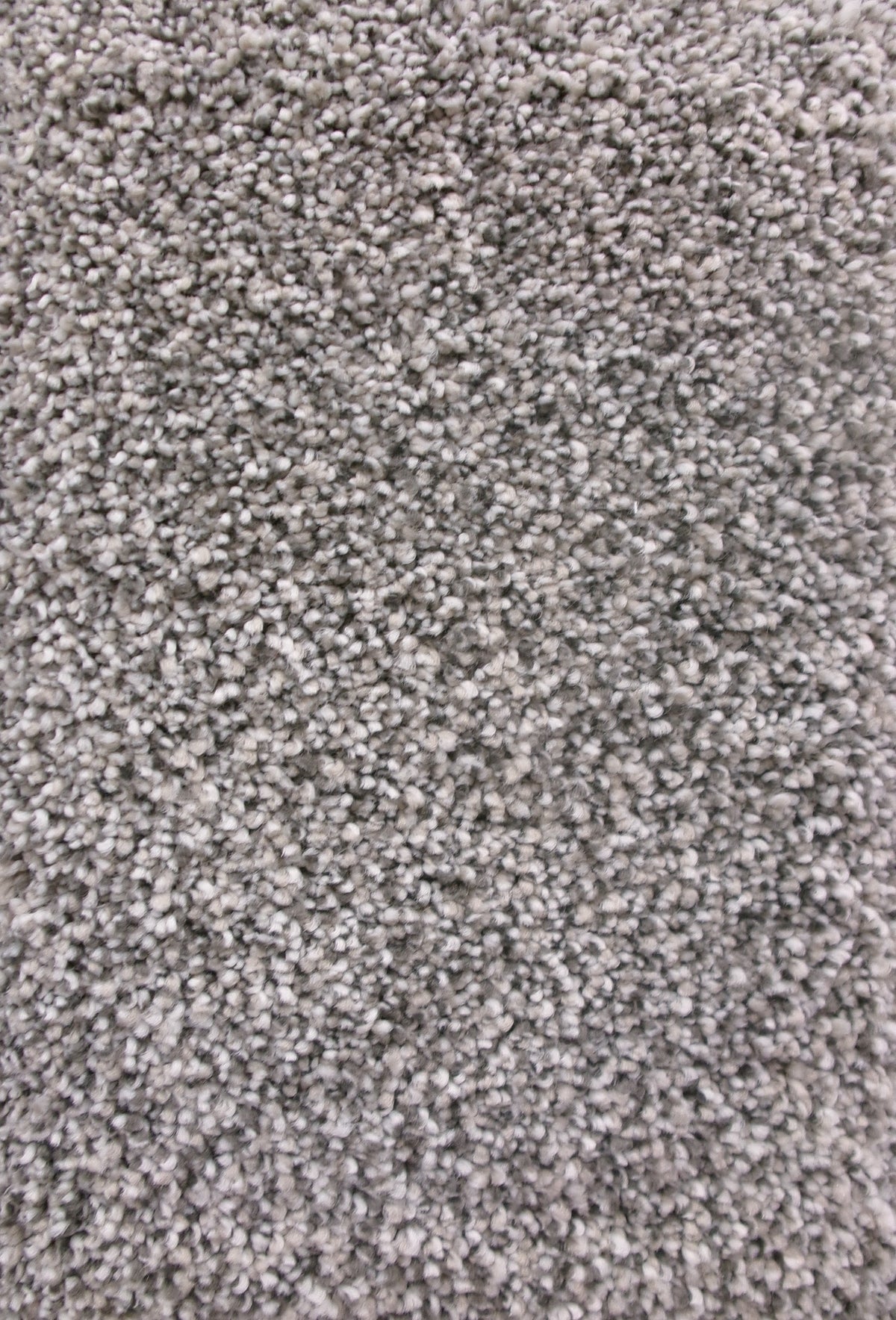 Revolution Mills Everest Gravity Polyester Carpet — Stone & Tile Shoppe ...