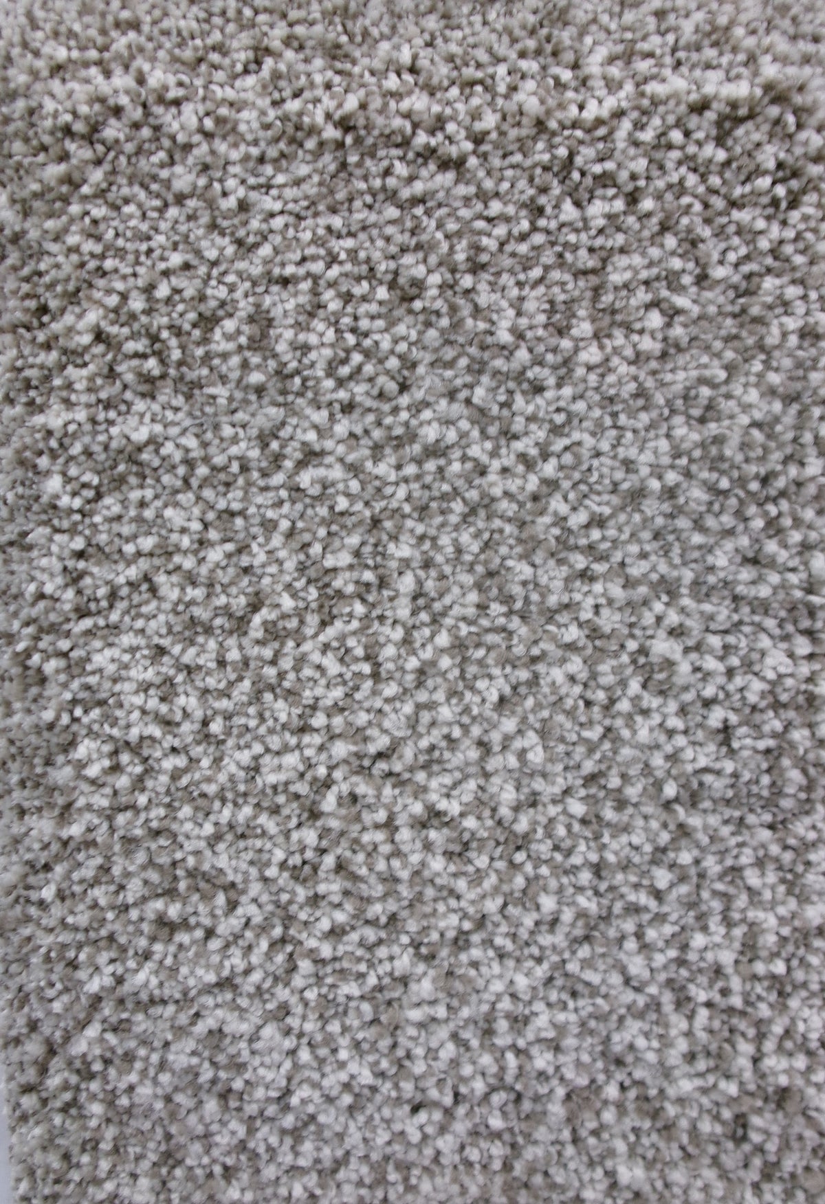 Revolution Mills Everest Tacoma Polyester Carpet — Stone & Tile Shoppe ...