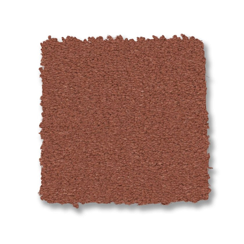 Anderson Tuftex Finery 00601 Coral Reef Textured Nylon Carpet — Stone ...