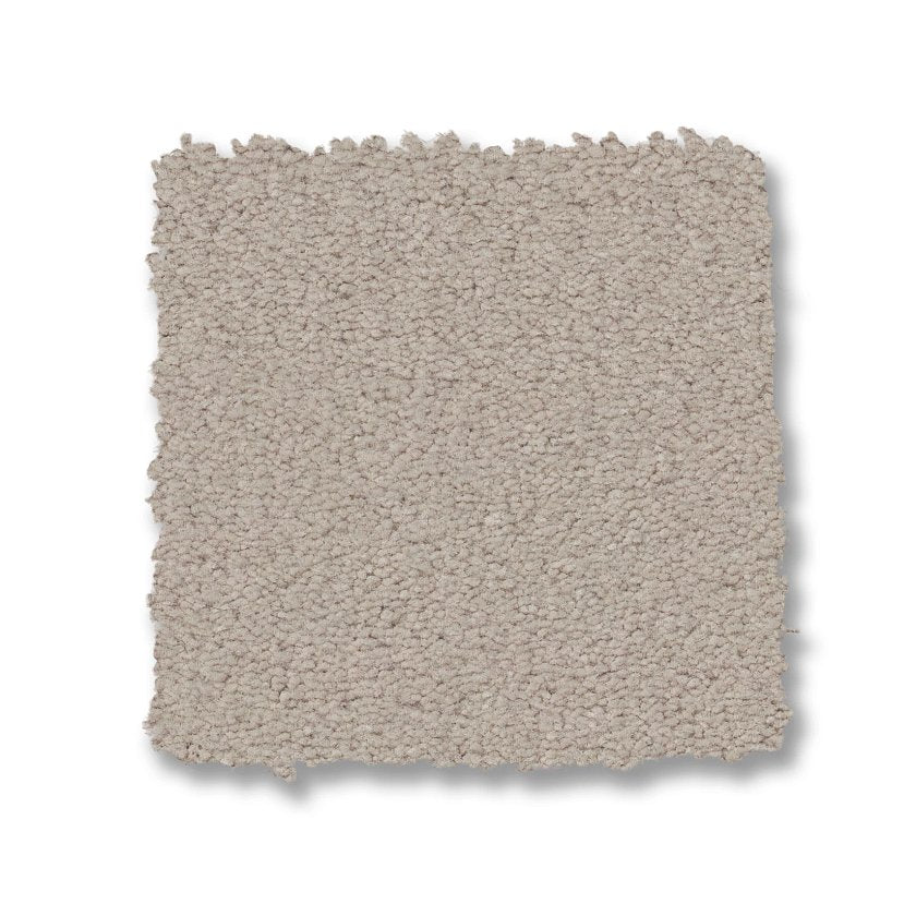 Anderson Tuftex Finery 00106 First Frost Textured Nylon Carpet — Stone ...
