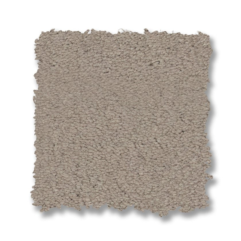 Anderson Tuftex Finery 00157 Putty Textured Nylon Carpet — Stone & Tile ...
