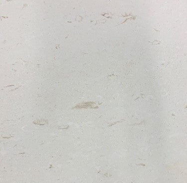 Shells Bianco Ivory Honed Shellstone Tile | Lowest Price — Stone & Tile ...