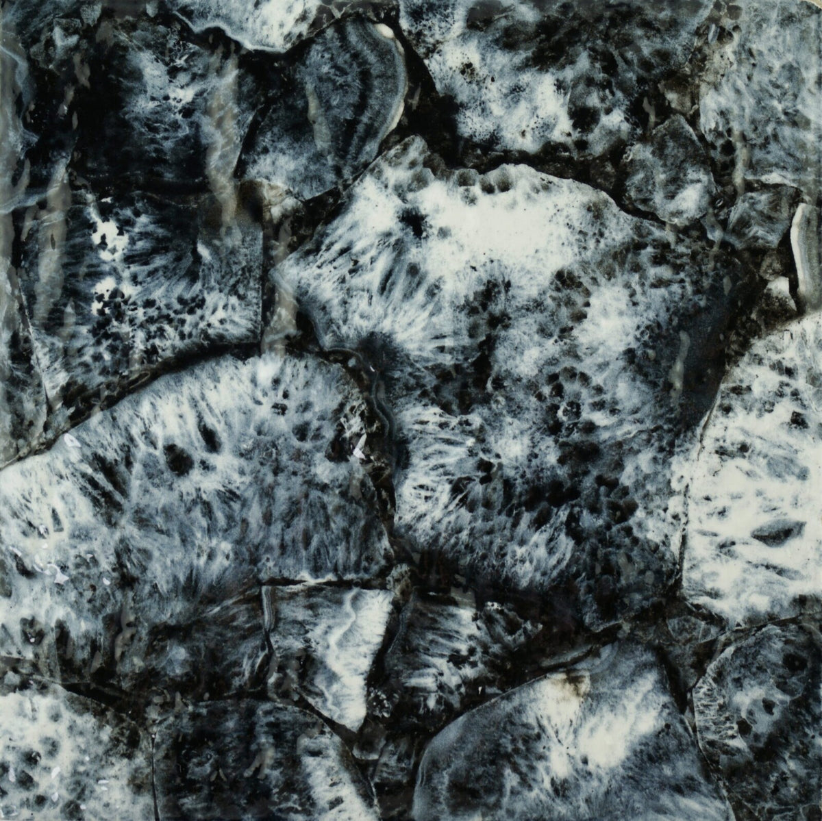 Keystone Tile Reef Dark Glossy Porcelain Tile | Lowest Price — Stone ...