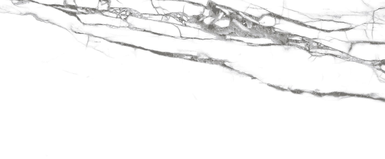 Tesoro Dendric Statuary Matte Porcelain Tile | Lowest Price — Stone ...