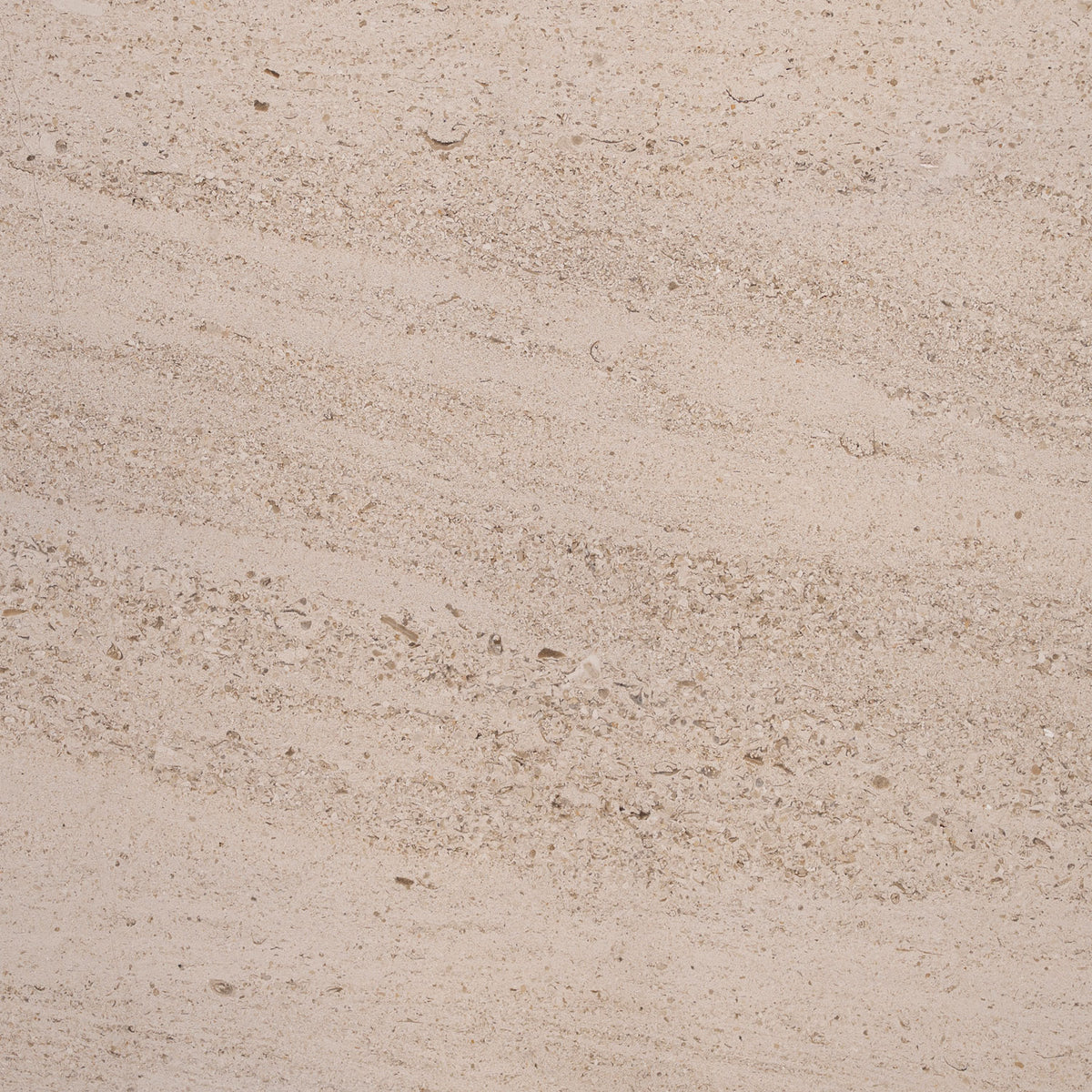 Mocha Honed Limestone Tile | Lowest Price — Stone & Tile Shoppe, Inc.