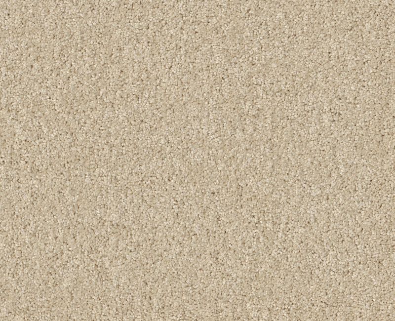 Shaw Detailed Style III 00101 Candlewick Glow Carpet — Stone & Tile ...