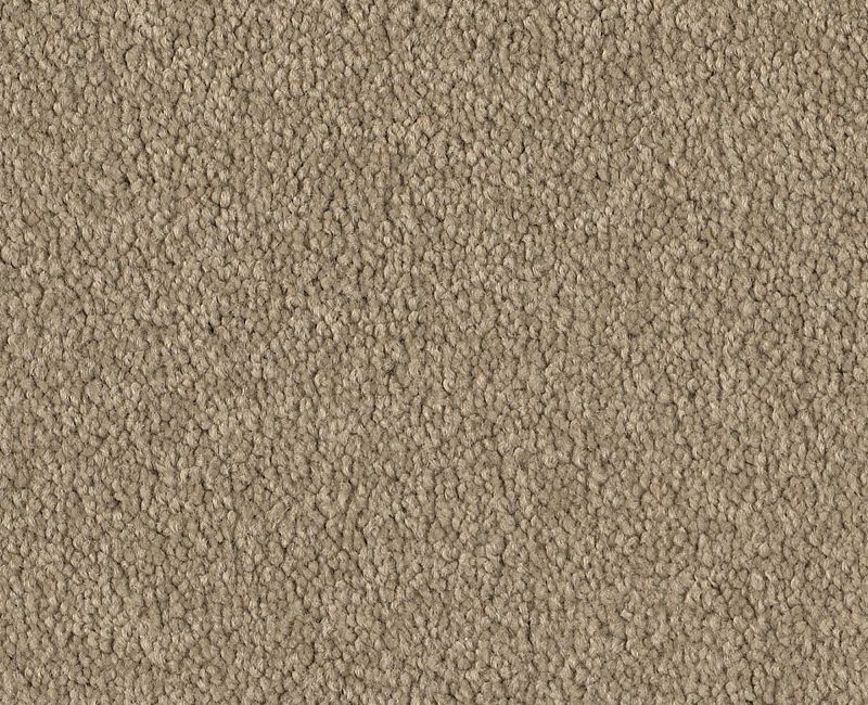Shaw Endura I 15' 00105 Soft Shadow Carpet — Stone & Tile Shoppe, Inc.