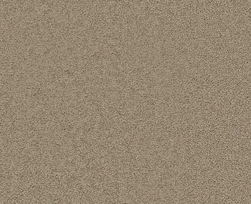 Shaw Endura I 12' 00109 Sweet Cream Carpet — Stone & Tile Shoppe, Inc.