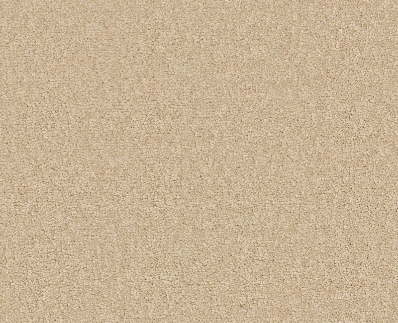 Shaw Endura III 15' 00200 Almond Flake Carpet — Stone & Tile Shoppe, Inc.