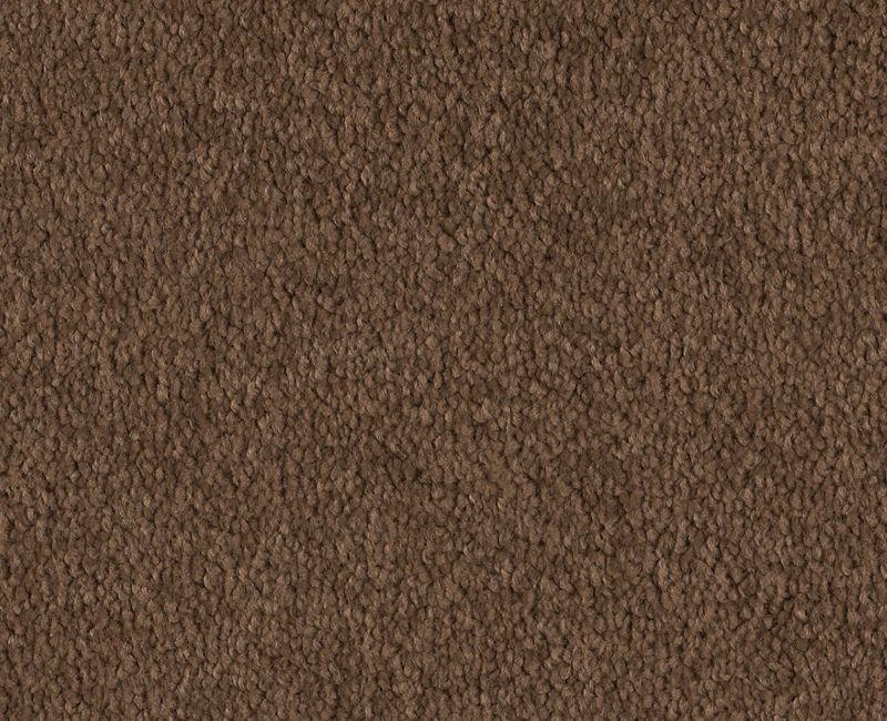 Shaw Endura III 15' 00703 Pine Cone Carpet — Stone & Tile Shoppe, Inc.