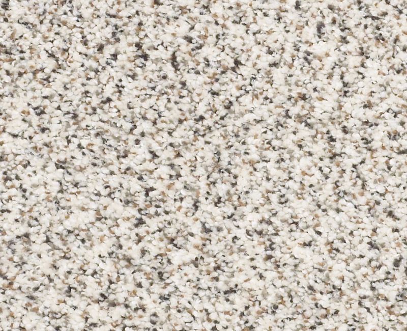 Shaw Graceful Texture Accent 00183 Artifact Carpet — Stone & Tile ...