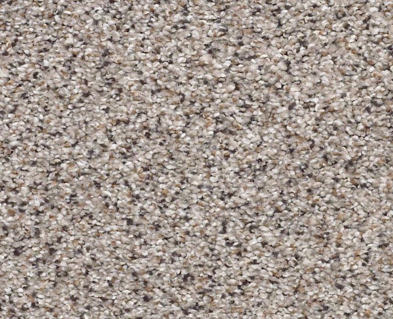 Shaw Elegant Texture Accent 00580 Quartz Carpet — Stone & Tile Shoppe, Inc.