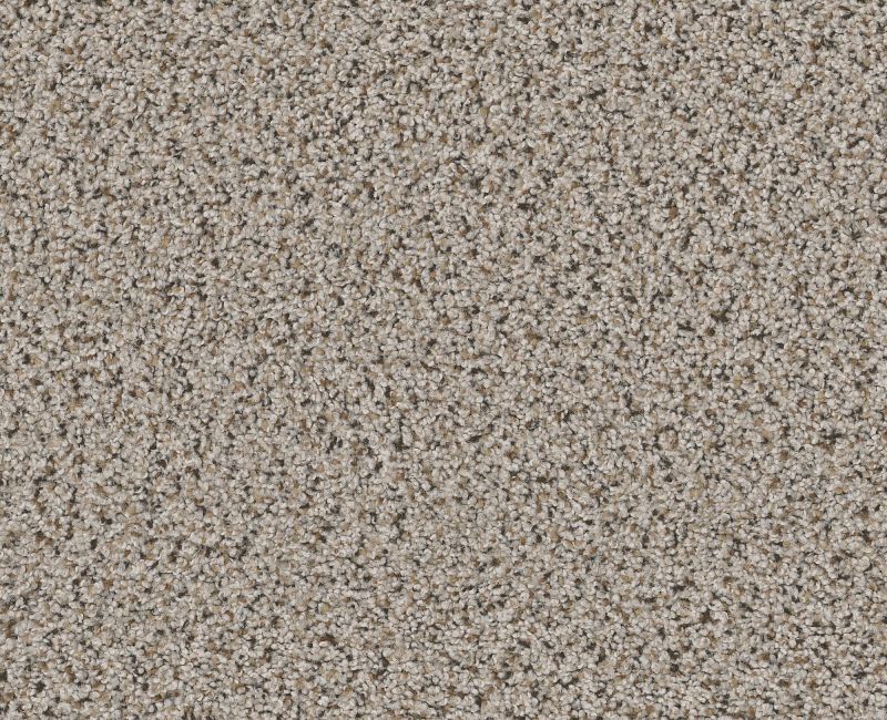 Shaw Vigorous Mix III 00171 Gentle Rain Carpet — Stone & Tile Shoppe, Inc.