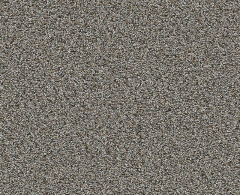 Shaw Vigorous Mix III 00571 Antique Pin Carpet — Stone & Tile Shoppe, Inc.