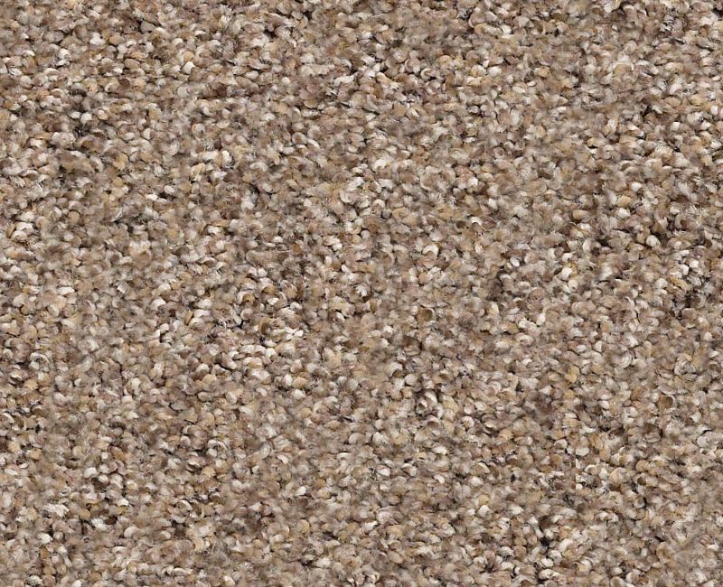 Shaw Vigorous Mix II 00771 Cobble Drive Carpet — Stone & Tile Shoppe, Inc.