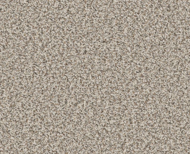 Shaw Privy 00172 Scenic Drive Carpet — Stone & Tile Shoppe, Inc.