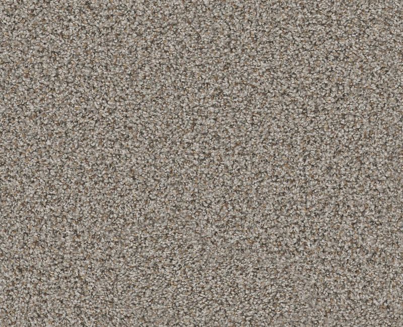 Shaw Privy 00573 Cobble Stone Carpet — Stone & Tile Shoppe, Inc.