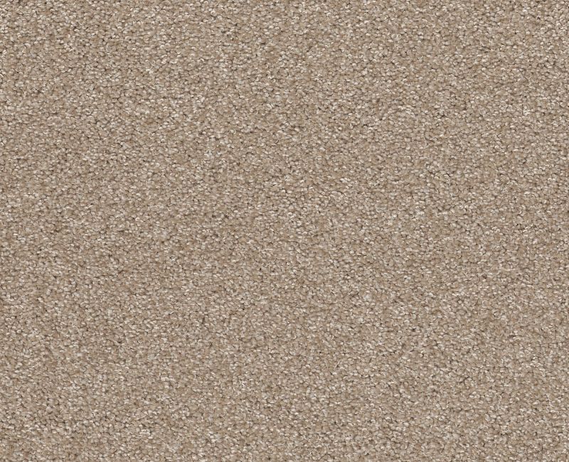 Shaw On The Brink I 00192 Park Place Carpet — Stone & Tile Shoppe, Inc.