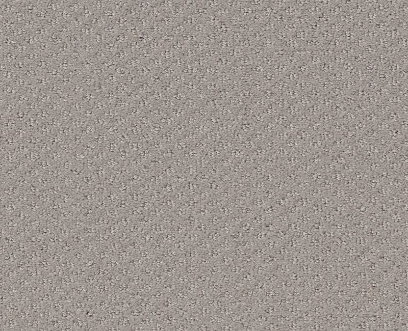 Shaw Pure Instinct 00175 Quiet Moment Carpet — Stone & Tile Shoppe, Inc.