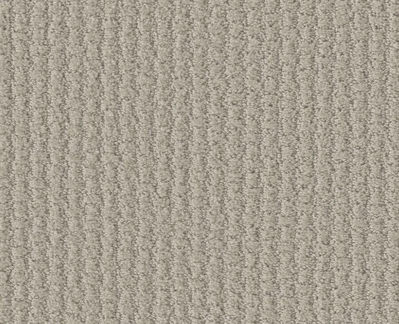 Shaw Lose Control 00175 Quiet Moment Carpet — Stone & Tile Shoppe, Inc.