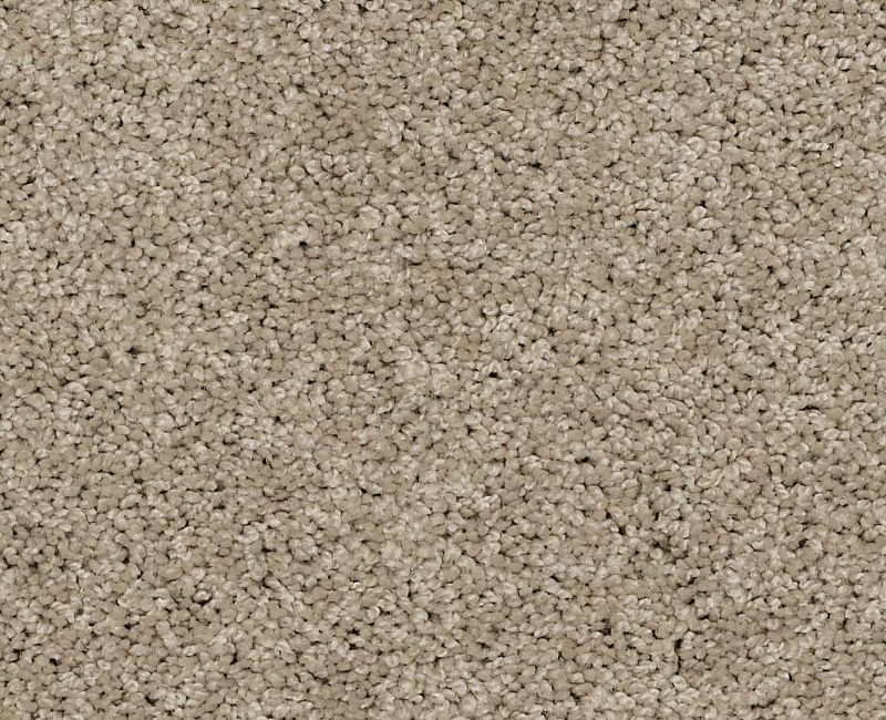 Shaw Marlow II 00192 Espresso Carpet — Stone & Tile Shoppe, Inc.