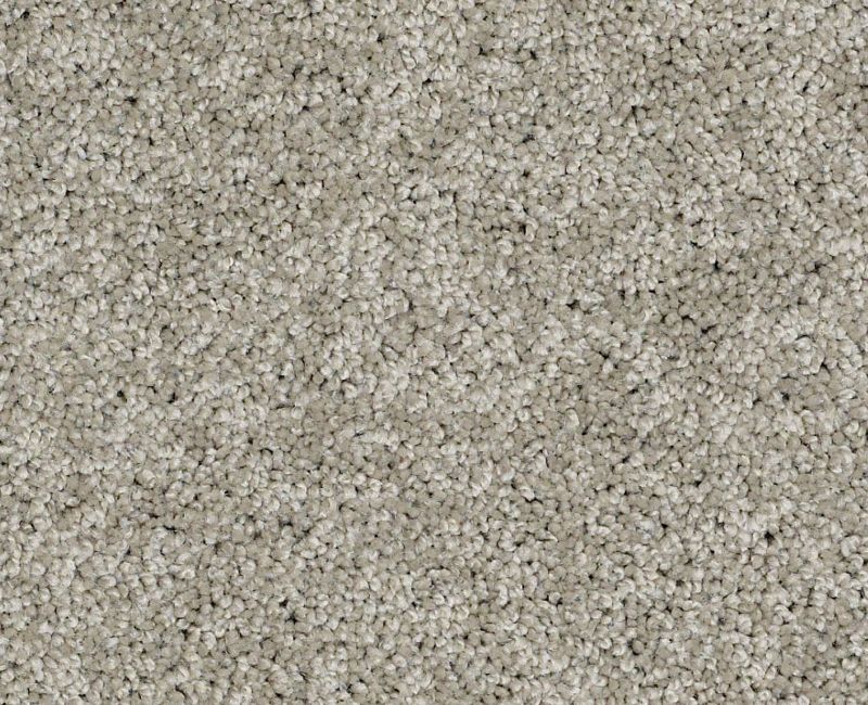 Shaw Marlow II 00790 Mocha Carpet — Stone & Tile Shoppe, Inc.