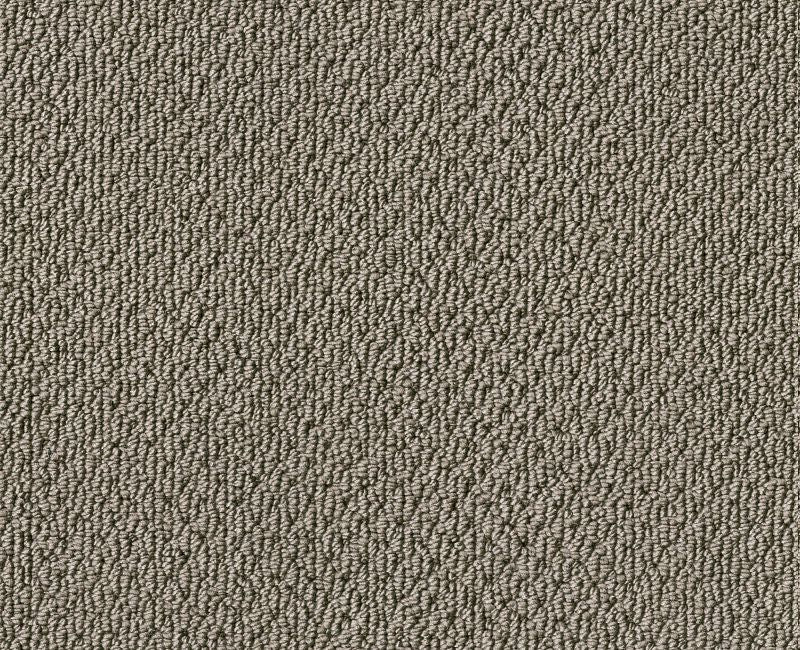Shaw Culture Club 00790 Mocha Carpet — Stone & Tile Shoppe, Inc.