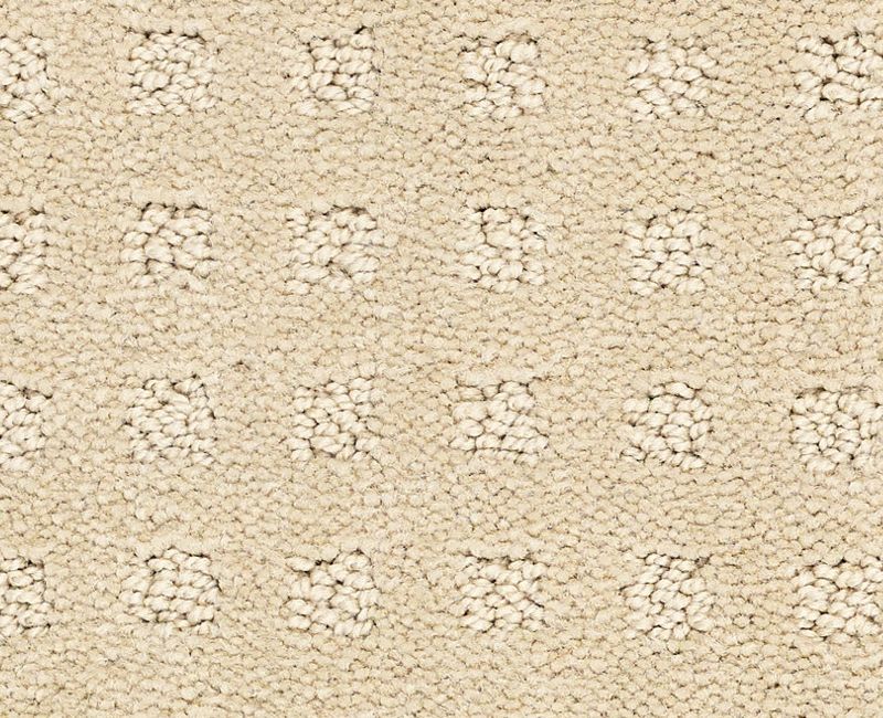 Shaw Global Chic 00183 Shoreline Carpet — Stone & Tile Shoppe, Inc.