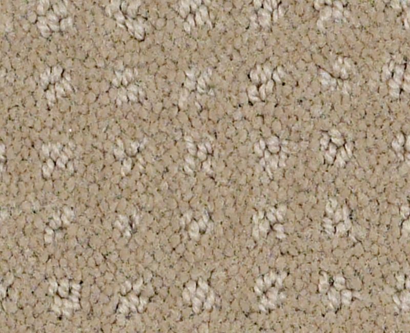 Shaw Global Chic 00188 Safari Carpet — Stone & Tile Shoppe, Inc.