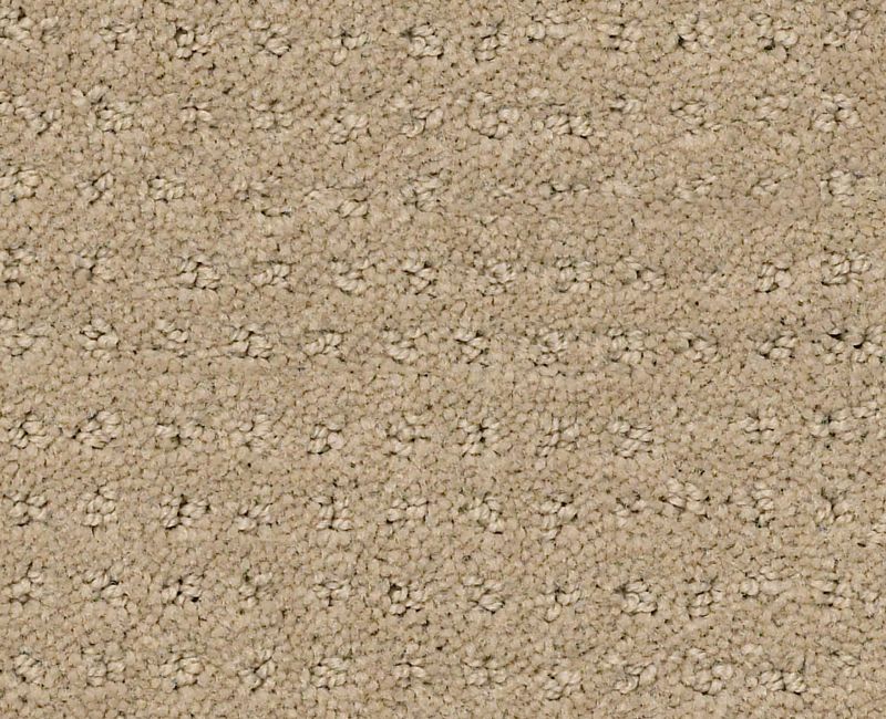 Shaw Global Chic 00192 Espresso Carpet — Stone & Tile Shoppe, Inc.