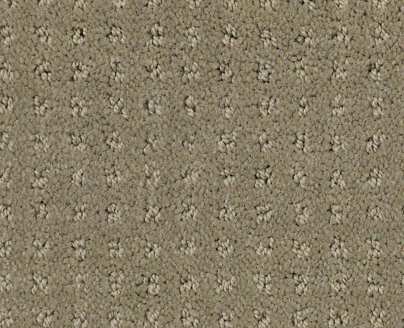 Shaw Global Chic 00790 Mocha Carpet — Stone & Tile Shoppe, Inc.