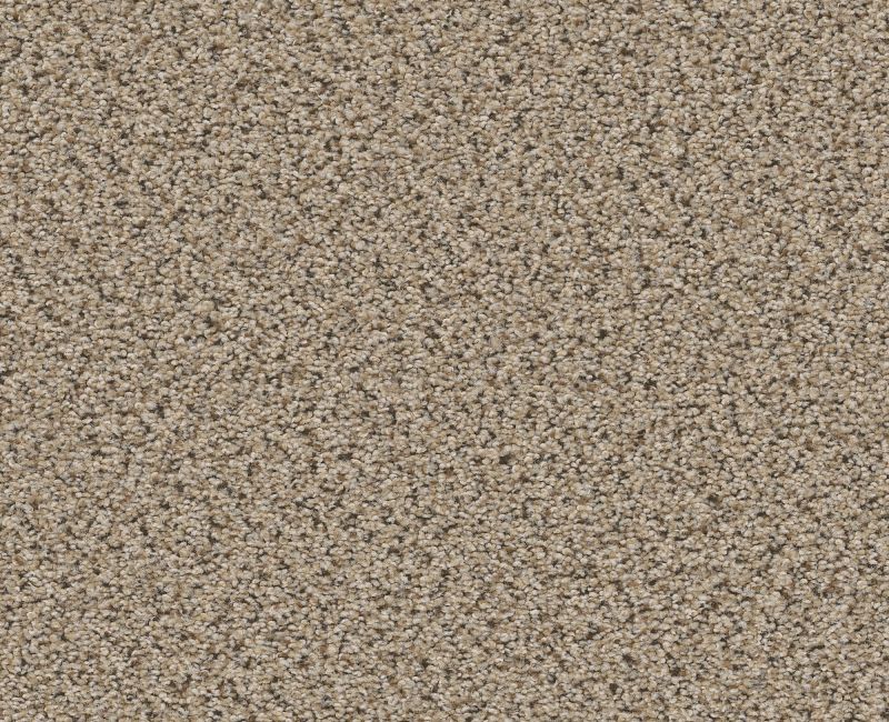Shaw Mixed Elegance I 00174 Sand Castle Carpet — Stone & Tile Shoppe, Inc.