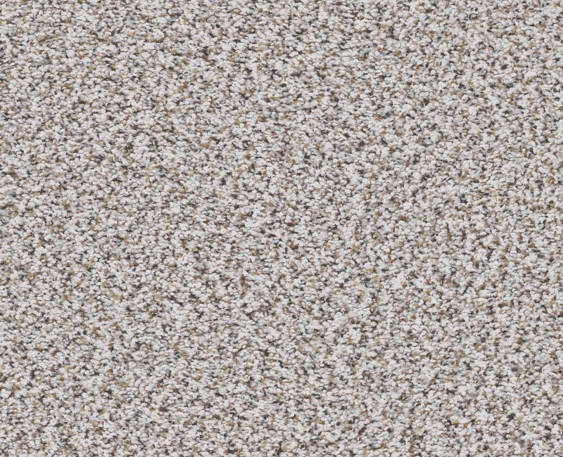 Shaw Mixed Elegance III 00177 Whitewash Carpet — Stone & Tile Shoppe, Inc.