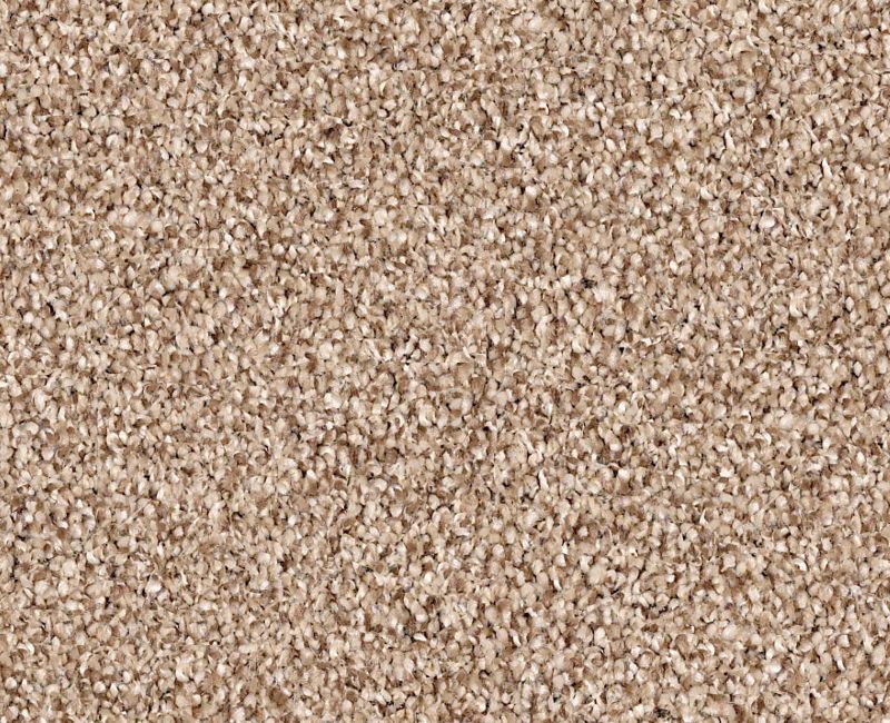 Shaw Color Express Tonal I 00761 Sienna Carpet — Stone & Tile Shoppe, Inc.