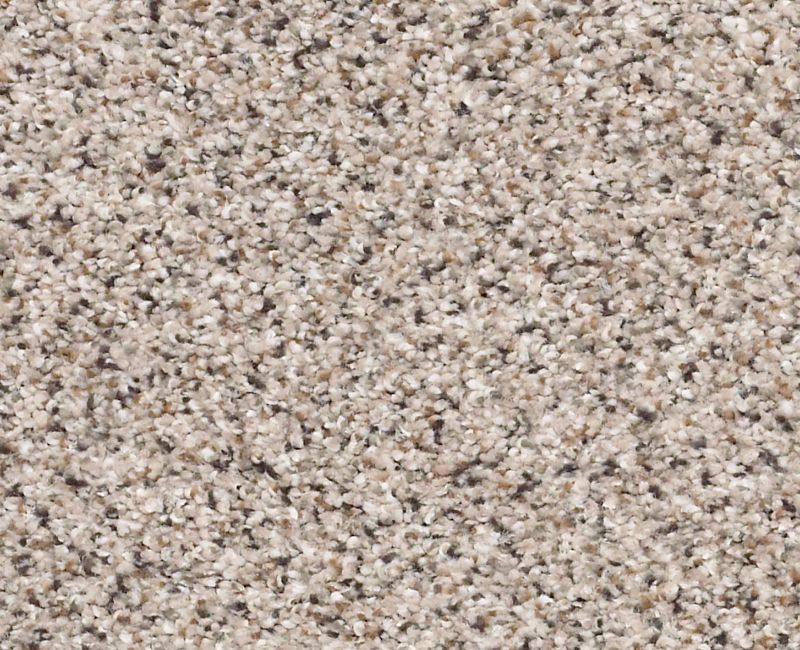 Shaw Color Express Accent I 00171 Riverbed Carpet — Stone & Tile Shoppe ...