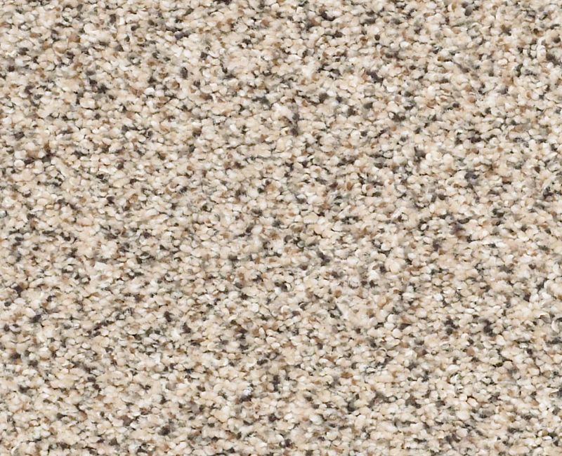 Shaw Color Express Accent II 00174 Luna Carpet — Stone & Tile Shoppe, Inc.