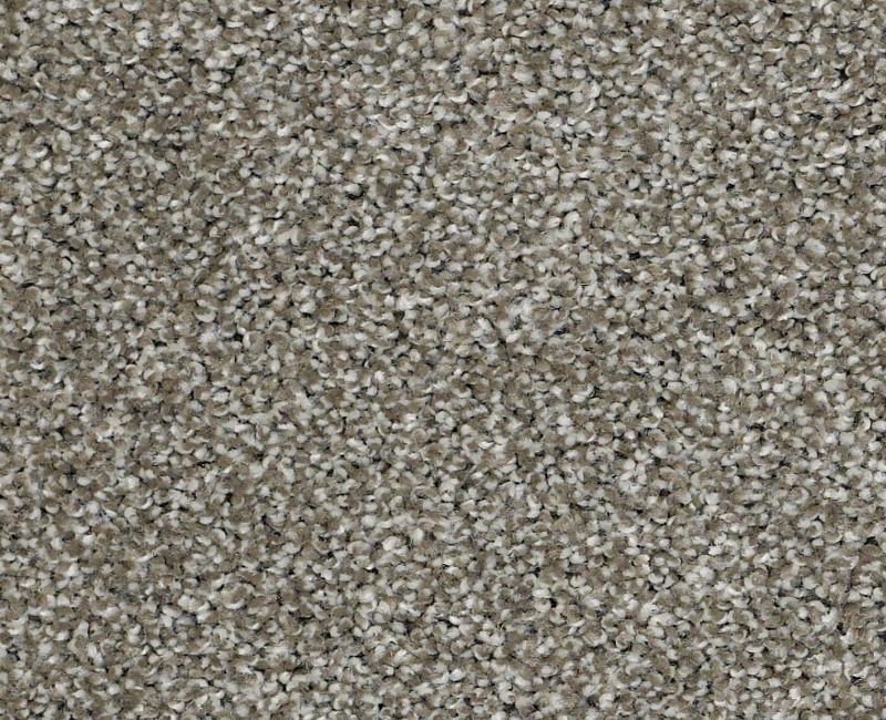 Shaw Uncomplicated 00513 Pewter Carpet — Stone & Tile Shoppe, Inc.