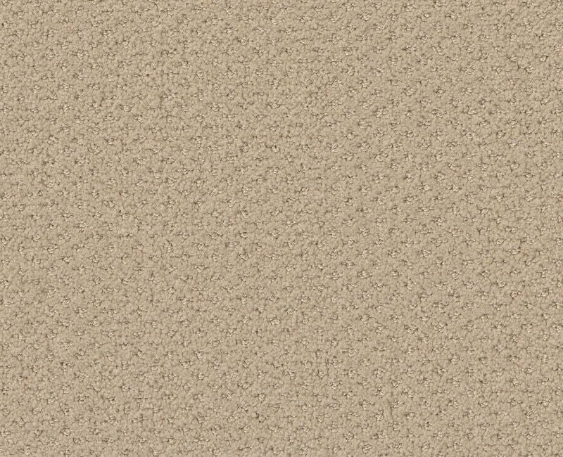 Shaw Meaningful Design 00101 Linen Carpet — Stone & Tile Shoppe, Inc.