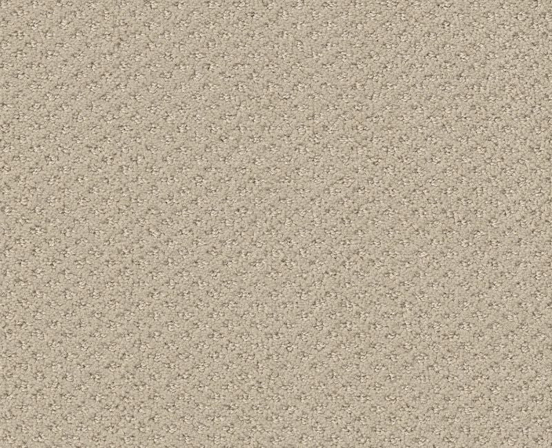 Shaw Meaningful Design 00103 Canvas Carpet — Stone & Tile Shoppe, Inc.