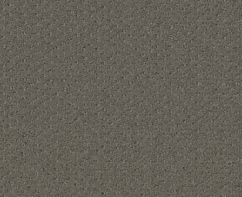 Shaw Meaningful Design 00513 Pewter Carpet — Stone & Tile Shoppe, Inc.