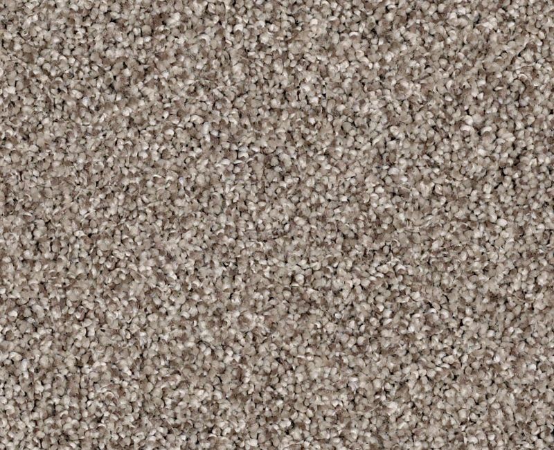 Shaw Graceful Texture Tonal 00194 Park Avenue Carpet — Stone & Tile ...