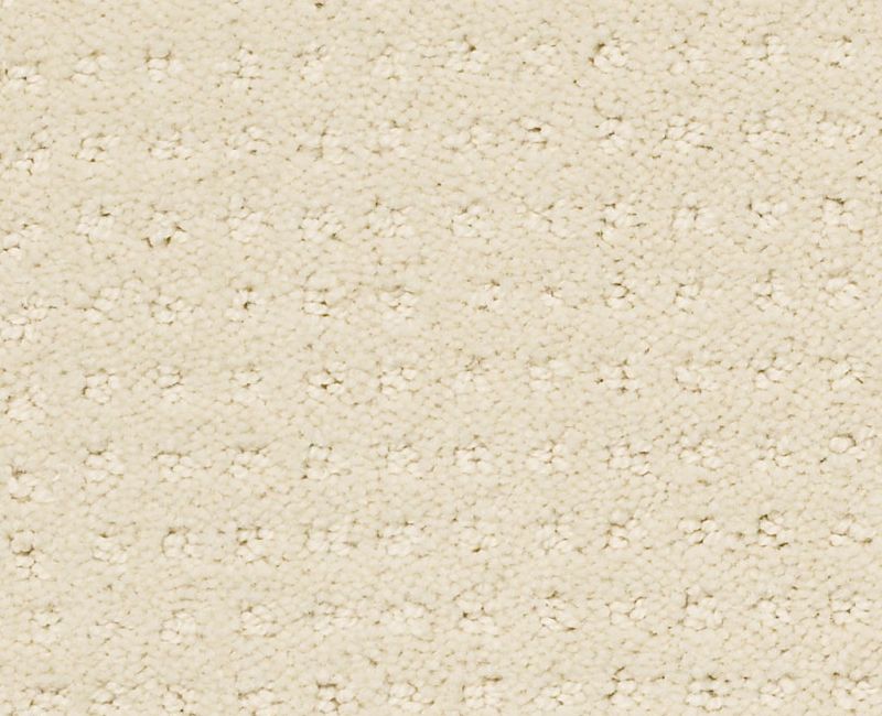 Shaw Detailed Elegance Pattern 00100 China Pearl Carpet — Stone & Tile ...