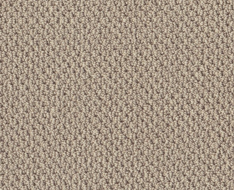 Shaw Detailed Statement Loop 00151 Bare Essence Carpet — Stone & Tile ...