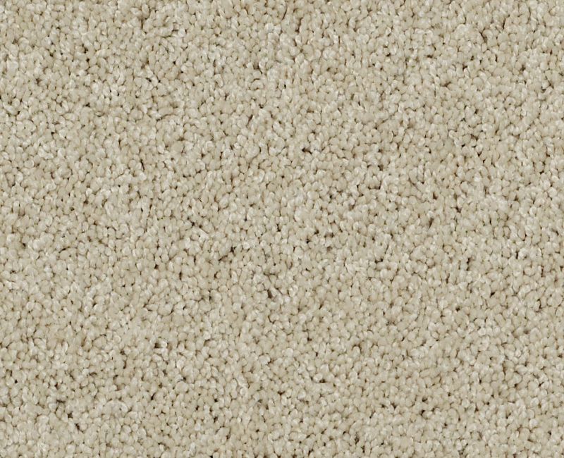 Shaw Detailed Elegance II 00103 French Linen Carpet — Stone & Tile ...